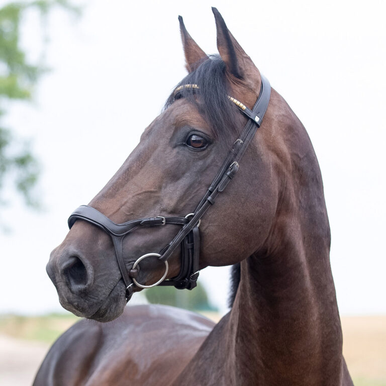 Valjad - E-Horse OÜ